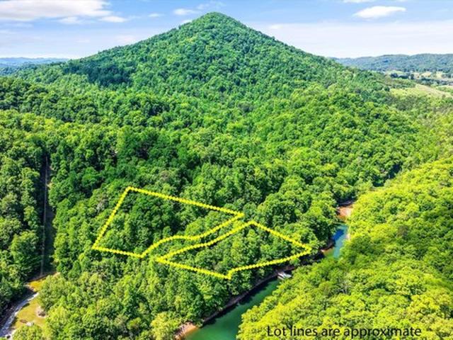 L 12 Mountain Shores Rd, New Tazewell, TN 37825