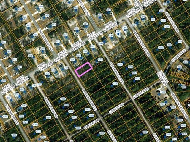 L 12 Rockingham Rd, Boiling Spring Lakes, NC 28461