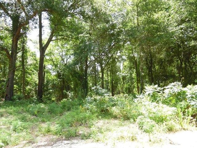 L 12 Tbd Vz County Road 4112, Canton, TX 75103