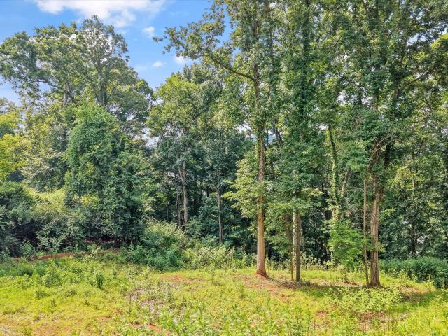 L 13 Cedar Grove St Lot 13