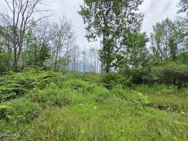 L 28 03 Halbert Hill Rd Unit L2803, South New Berlin, NY 13843