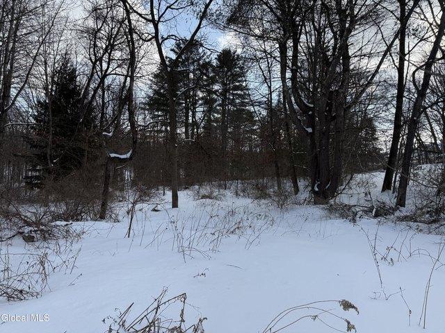 L 45 5 S Hollywood Ave, Johnstown, NY 12078