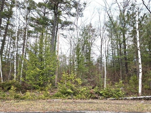 L 478 479 Balsam Cir Lot 478 479, Presque Isle, MI 49777