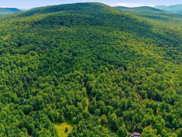 L59 Horseshoe Pond Rd, Schroon Lake, NY 12870