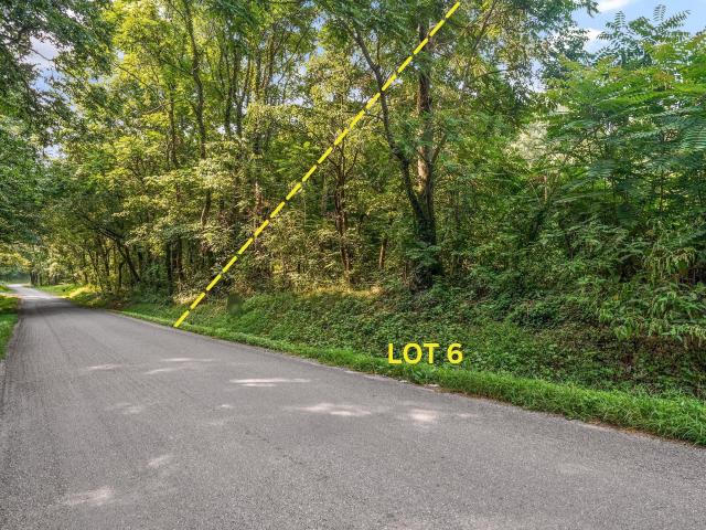 L 6 Randolph Fridley Rd Lot 6
