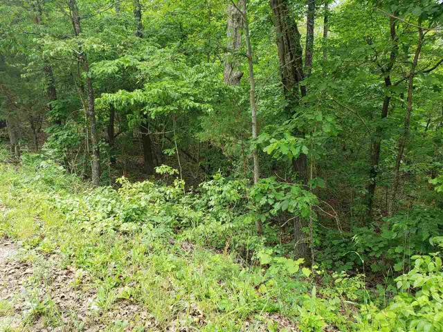 L 94 B5 Ouachita Road