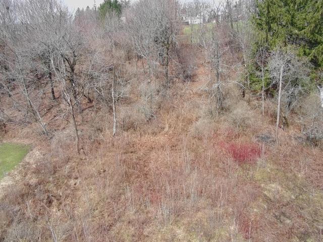 L 9 Hillside