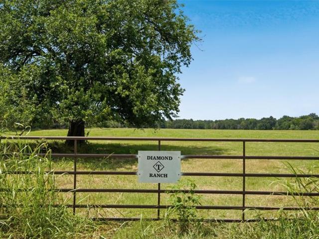 Lcr 382, Groesbeck, TX 76642