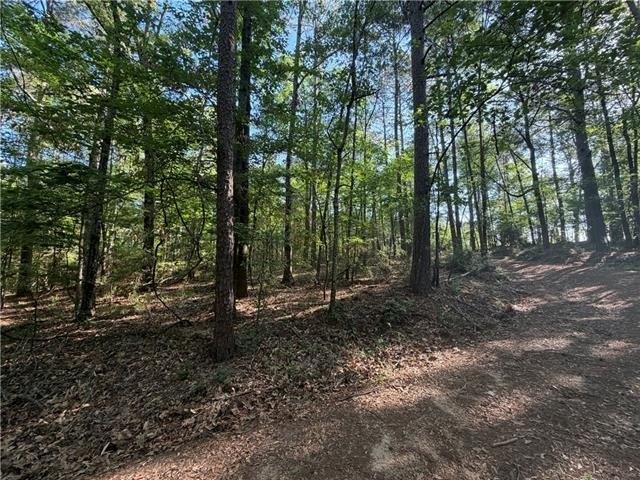 La 126 Lot 0, Olla, LA 71465