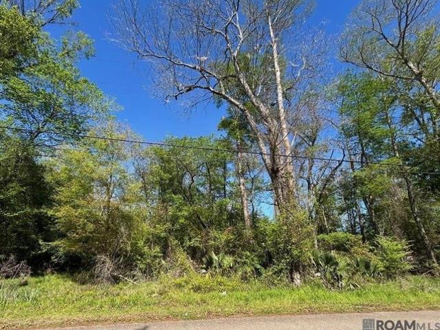LA Trace Rd Lot 23, Livingston, LA 70754