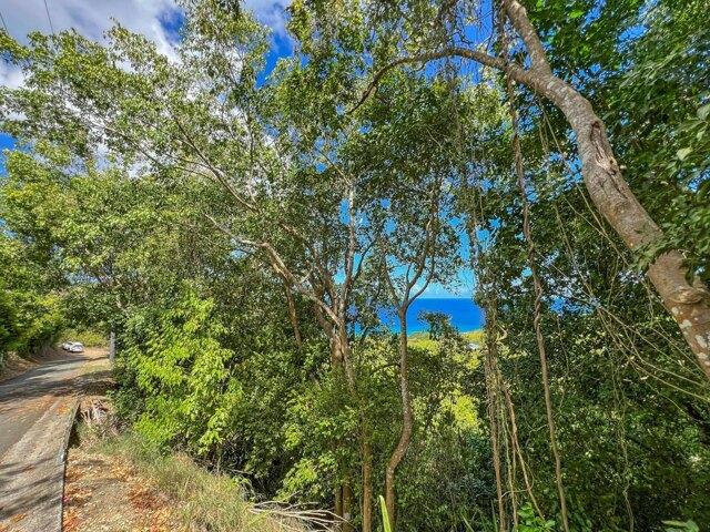 La Vallee Nb, Saint Croix, Plot For Sale