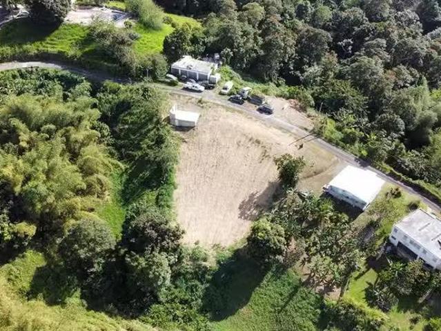 La Fermina, Las Piedras, PR 00771 MLS PR9105411
