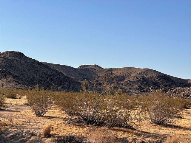 La Ferney, Joshua Tree, CA 92252