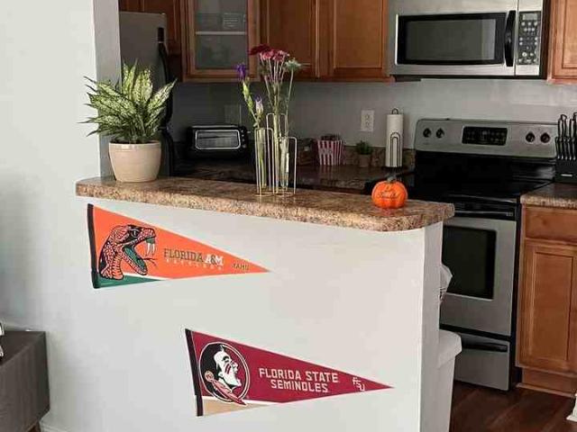 La Mediterranean Apartments 1 Bedroom Apartment for Rent at 119 Cadiz St, Tallahassee, FL 32301