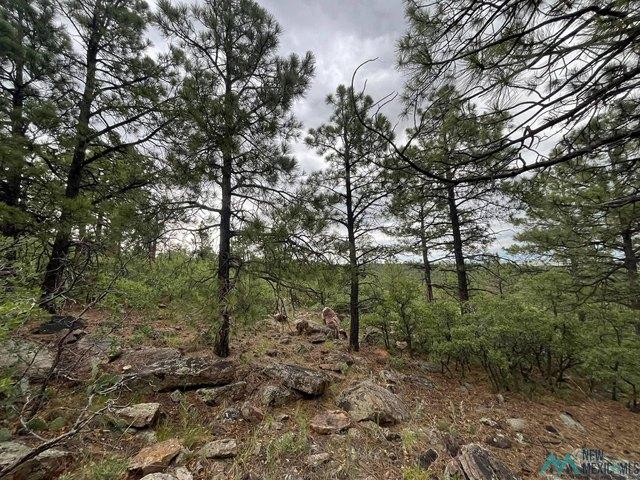 LA Rama Rd Lot E, Golondrinas, NM 87712