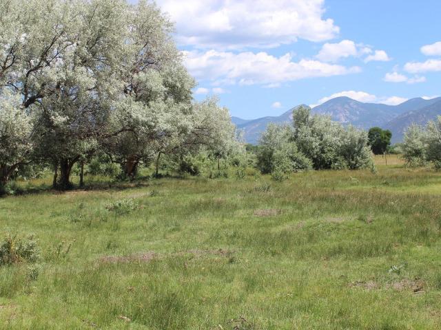 La Senisa Rd. taos, us, nm
