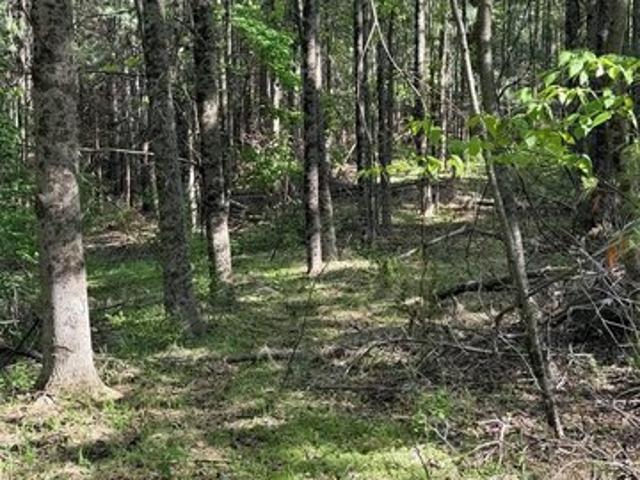 Lambsburg Rd Lot 1, Galax, VA 24333