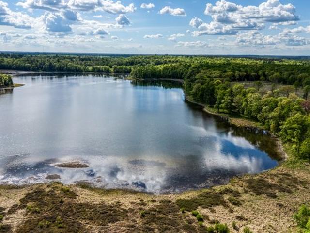 Lamon Rd NE, Bemidji, MN 56601