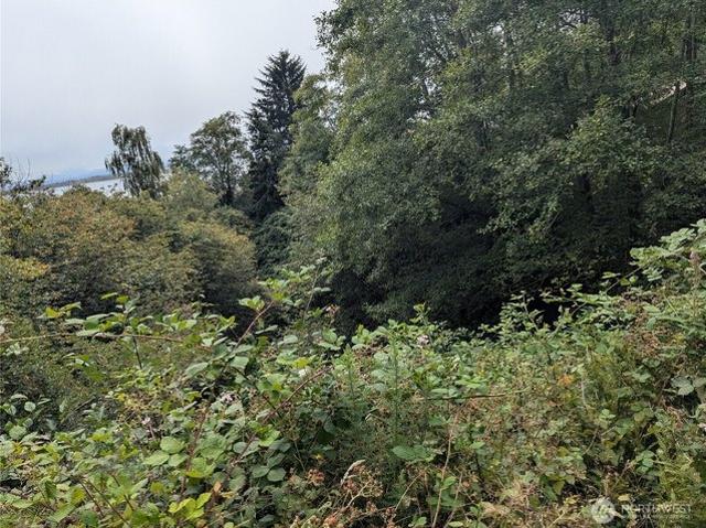 Lamontay Lot 6 Pl Lot 6, Ilwaco, WA 98624