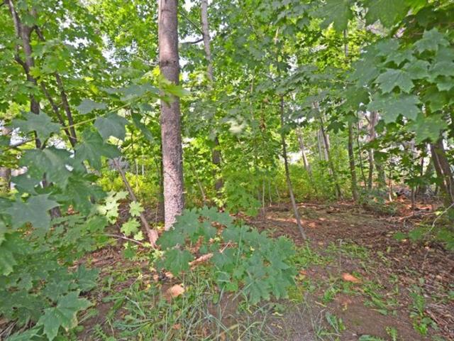 Lamothe Ave, Biddeford, Plot For Sale