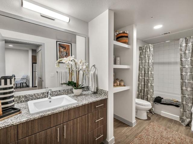 Lantana at Round Rock 1 Bedroom Apartment for Rent at 4600 N Mays St, Round Rock, TX 78665