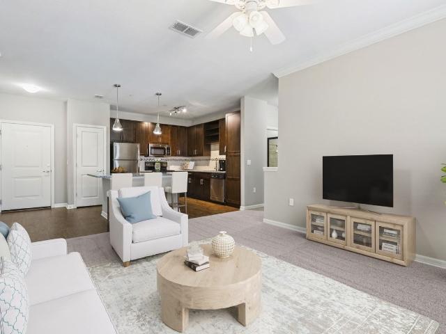 Lantower Asturia 1 Bedroom Apartment for Rent at 15175 Integra Jct, Odessa, FL 33556