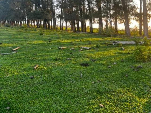Lançamento Hotel Fazenda Jacareí