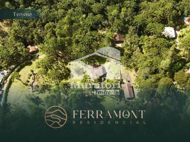 Lançamento!