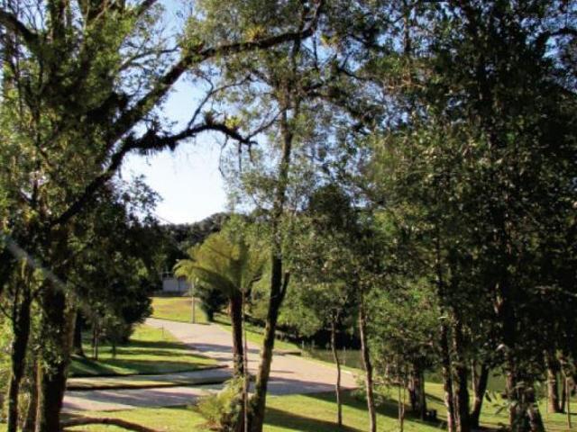 Lançamentos Bairro Saiqui