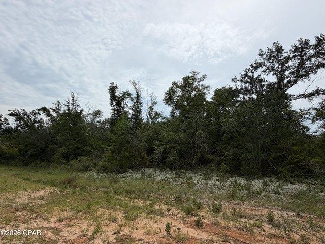 Lanai Ct Lot 3, Alford, FL 32420