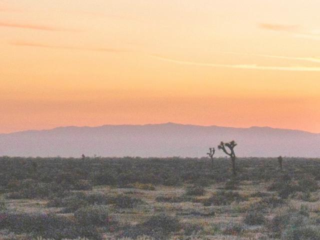 Lancaster CA 93535 LS78115582