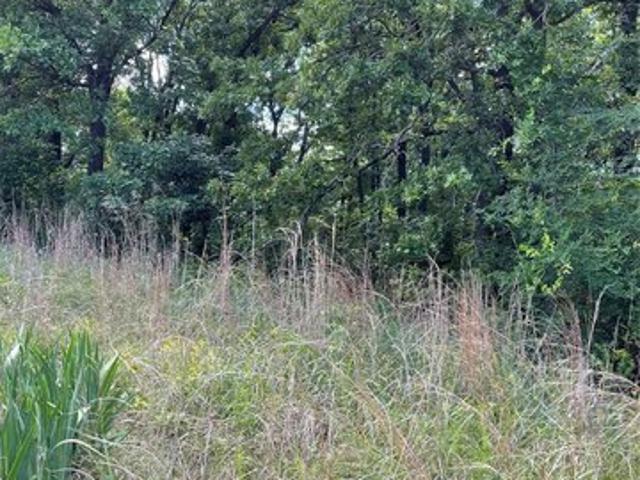 Lance Rd, Davis, OK 73030