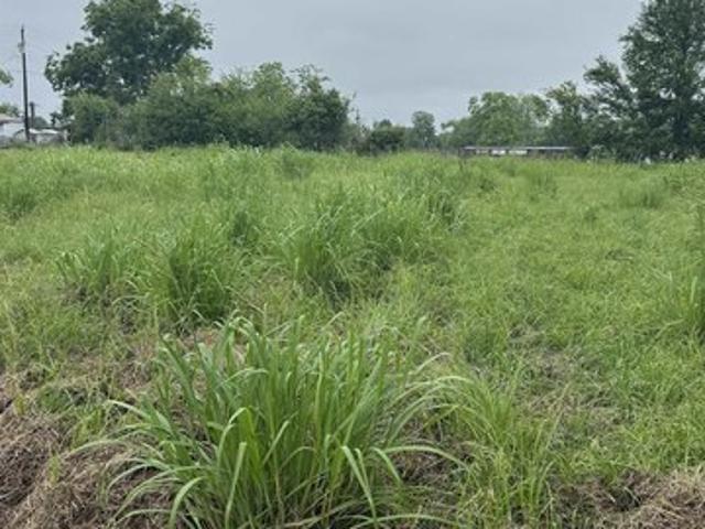 Lance St, Ventress, LA 70783