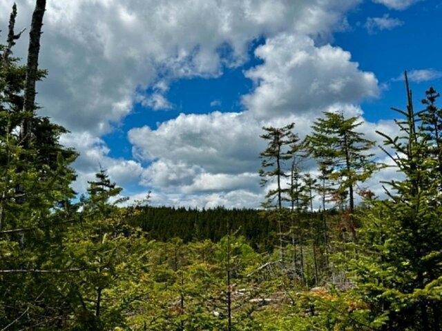 land Machiasport ME ES103620849