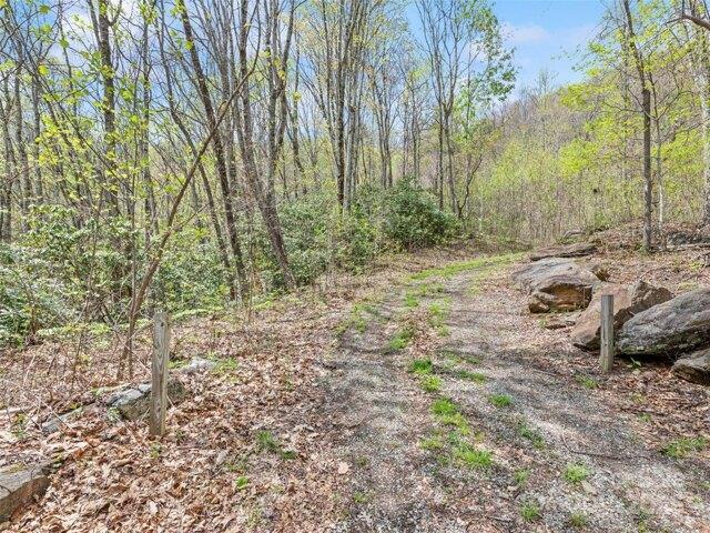 land Maggie Valley NC ES104899616