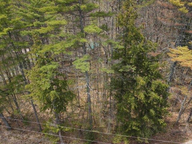 land Madison NH DLS103074630