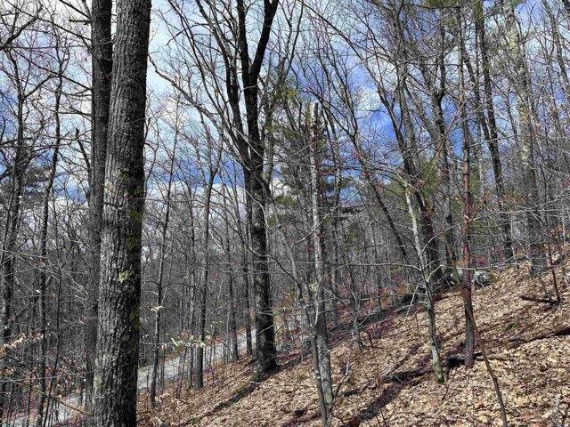 land Madison NH DS102257211