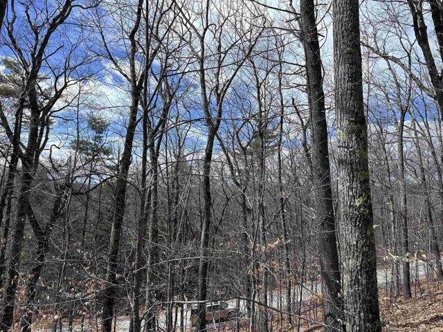 land Madison NH ES105113759