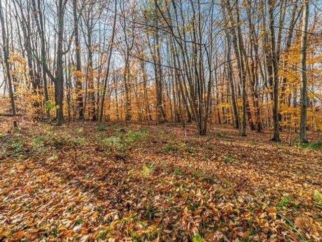 land Manchester VT DLS103101063