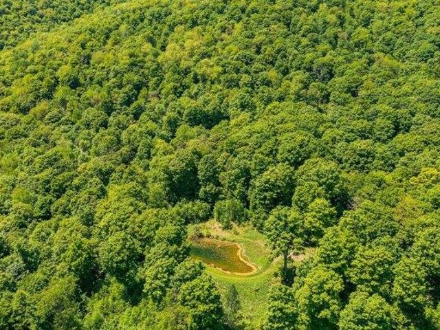 land Manchester VT DS102314472