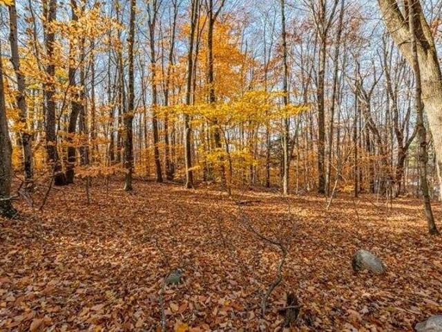 land Manchester VT ES104809418