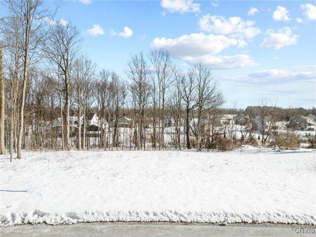 land Manlius NY DLS91676610