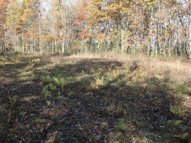 land Masontown WV ES104901610