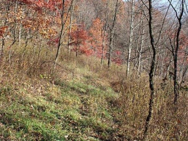 land Masontown WV ES104902611