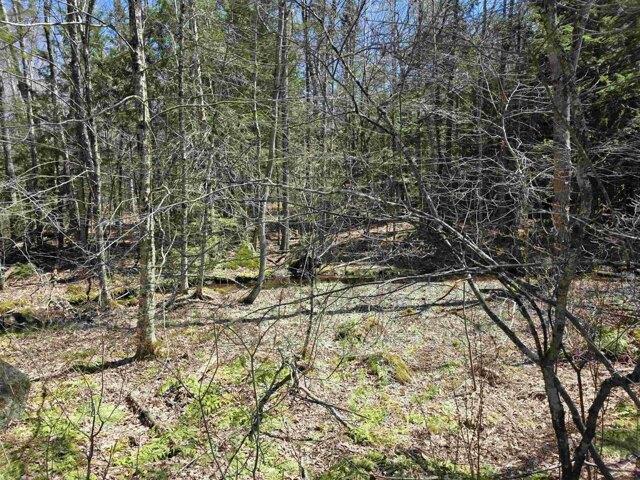 land Marlow NH DS102475658
