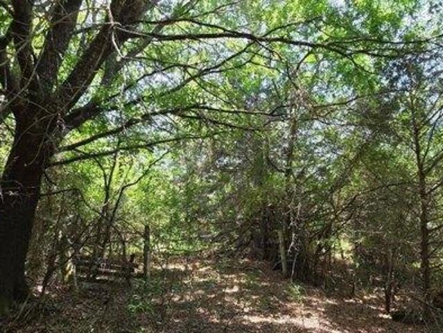 land McCormick SC ES104899918