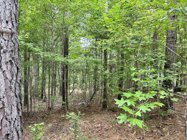 land McCormick SC ES104908736