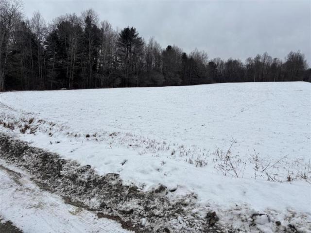 land Mcdonough NY DS101252173