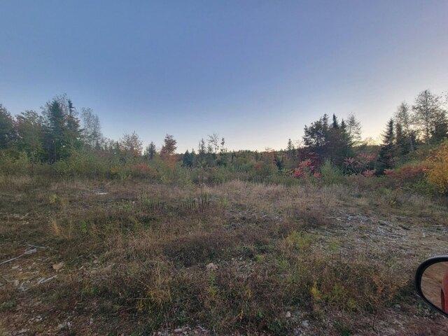 land Meddybemps ME DLS102000308