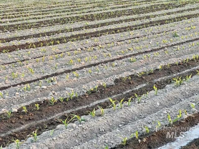 land Melba ID DS87568921